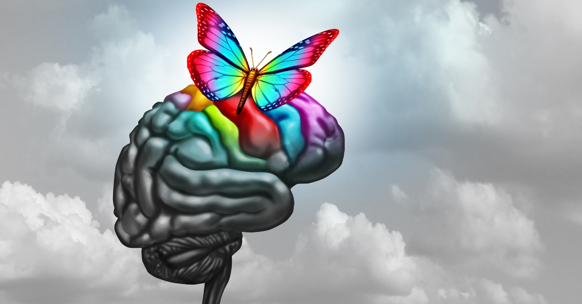 How Do Autistic Brains Work